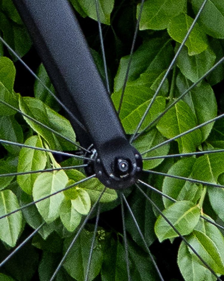 Great Divide Rim – No. 22 Bicycle Company